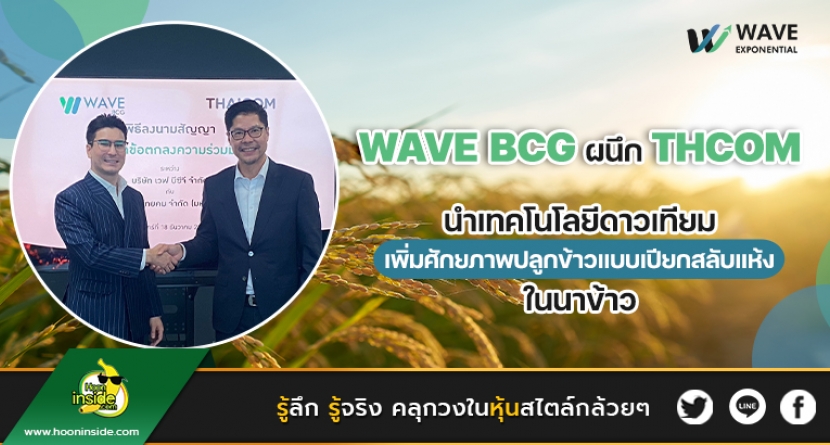 HotNews:WAVE BCG ผนึก THCOM นำเทคโนโลยีดาวเทียมเพิ่มศักยภาพปลูกข้าวแบบเปียกสลับแห้งในนาข้าว ...